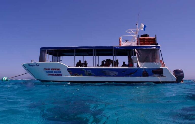 Coral Bay: 2-Hour Coral Viewing and Snorkeling - Who Should Consider This Tour?