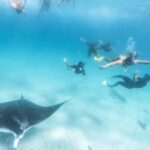 Coral Bay: Marine Eco Safari - Swim With Manta Rays - What Sets This Tour Apart
