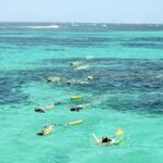 Coral Bay: Ningaloo Reef 3-Hour Turtle Ecotour - The Itinerary and What to Expect