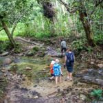 Coral Coast Adventure: Biausevu Waterfall & Natadola Beach - The Value for Money