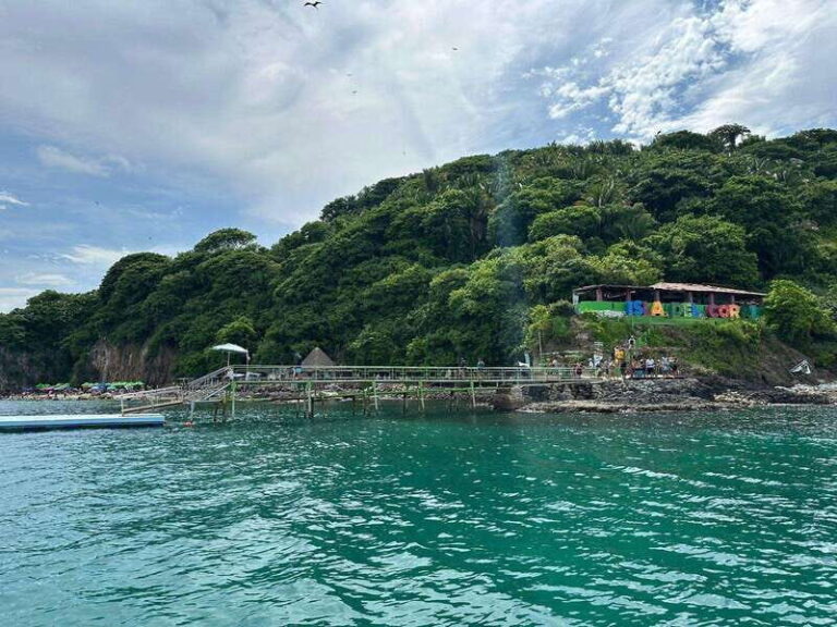 Coral island guayabitos beach and snorkeling - Who Is This Tour Best For?