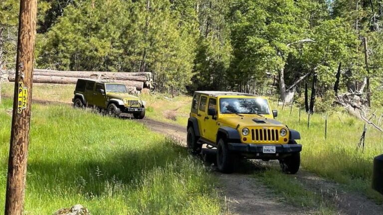 Cordoba: Guided Jeep Tour in Stanislaus National Forest - Who Will Love This Tour?