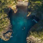 Coromandel: Aldermen Islands Marine Reserve Wildlife Cruise - Why This Tour Is Worth It