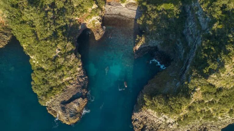 Coromandel: Aldermen Islands Marine Reserve Wildlife Cruise - Why This Tour Is Worth It