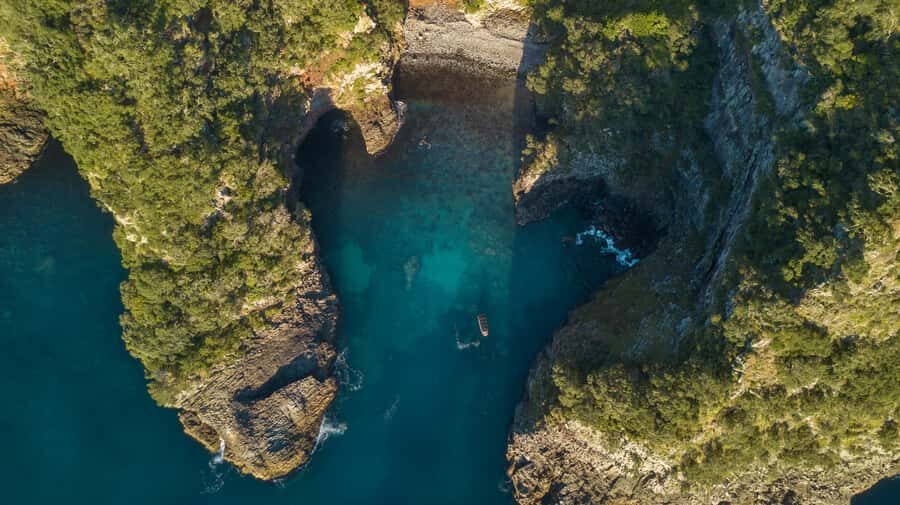 Coromandel: Aldermen Islands Marine Reserve Wildlife Cruise - Why This Tour Is Worth It