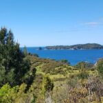 Coromandel Cathedral Cove Walk & Hot Water Beach Day Tour - What’s Included and What You Should Consider