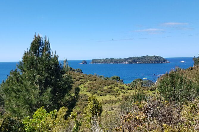 Coromandel Cathedral Cove Walk & Hot Water Beach Day Tour - What’s Included and What You Should Consider