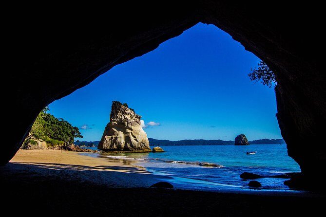 Coromandel Coastal Experience - Small Group Tour from Auckland - Transportation & Comfort
