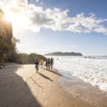 Coromandel Day Tour From Auckland - The Sum Up: Is This Tour Right for You?