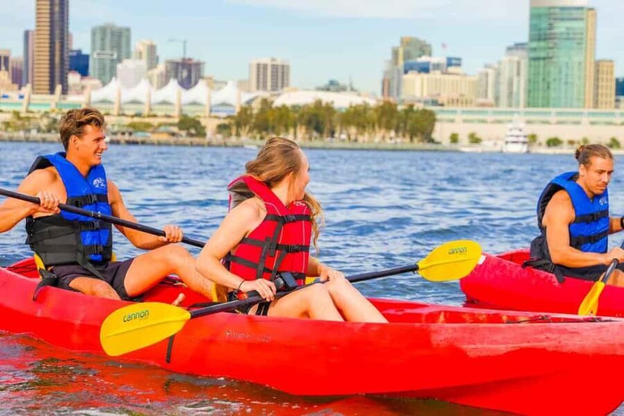 Coronado Guided Kayak Tour 90-Min - Who this tour is perfect for