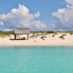 Coronado Island and Snorkel Tour - Analyzing the Value: Is This Tour Worth It?