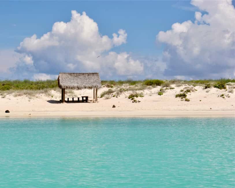 Coronado Island and Snorkel Tour - Analyzing the Value: Is This Tour Worth It?