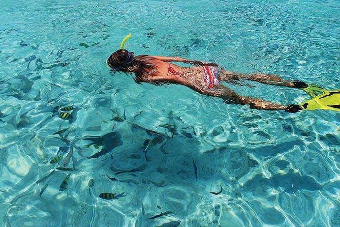 Coronado Island Tour from Loreto - Scenic Boat Ride and Wildlife Viewing