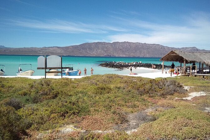 Coronados Island Tour in Loreto Bay - Who Is This Tour Best For?