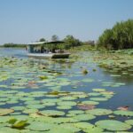 Corroboree Billabong Wetland Cruises - 2 hour Sunset Cruise - Who Should Consider This Cruise?