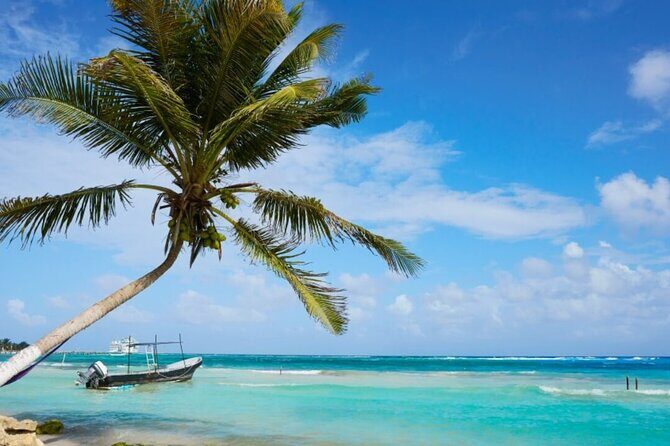 Costa Maya All Included Beach Break from Cruise Port - Who Is This Experience Best For?