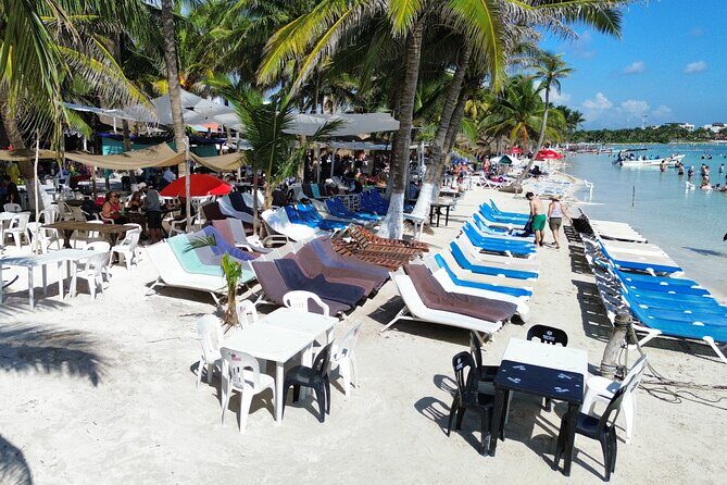 Costa Maya Beach Breack Food & Drinks - Who Is This Tour Best For?