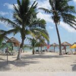 Costa Maya Port All-Inclusive Beach Escape - Who Would Enjoy This Tour?