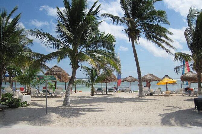 Costa Maya Port All-Inclusive Beach Escape - Who Would Enjoy This Tour?