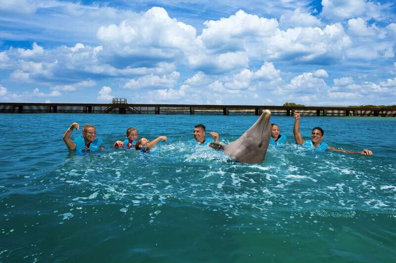 Costa Mujeres: Swim with Dolphins - Who Should Consider This Tour?