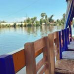 Coyoacán and Xochimilco Private Tour - Final Thoughts: Is It Worth It?