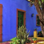 Coyoacán & Xochimilco: Discover an oasis in Mexico City - Who Will Love This Tour?