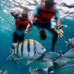 Cozumel Adventure! 2 hours Snorkel + Round Transportation from Cancun - The Value of This Tour