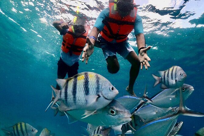 Cozumel Adventure! 2 hours Snorkel + Round Transportation from Cancun - The Value of This Tour