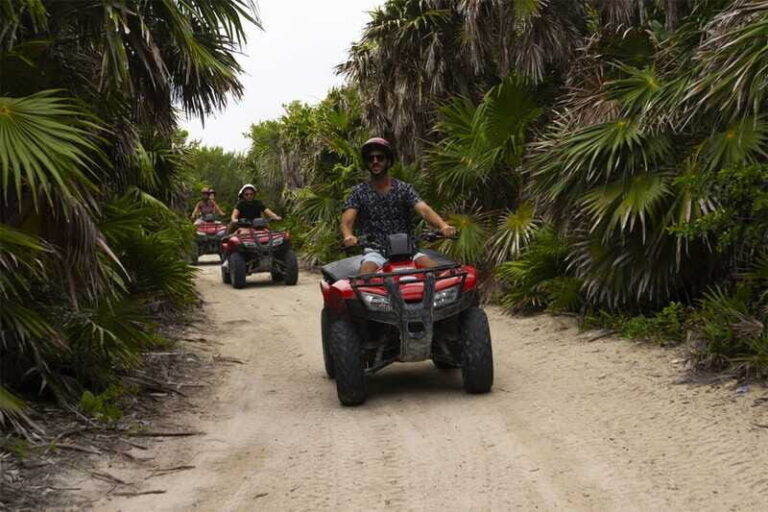 Cozumel: Buggy Adventure to Punta Sur Park and Snorkel - Who Will Love This Tour?