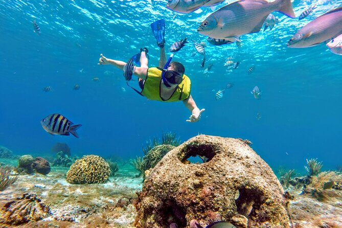 Cozumel by transparent boat and snorkeling in the sky with lunch. - Final Thoughts: Who Will Love This Experience?