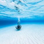 Cozumel Catamaran Snorkeling Tour & lunch® - What the Reviews Reveal: Authentic Perspectives