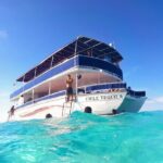 Cozumel Catamaran Tour: Snorkel at Top Reefs & Open Bar - Practical Details & Tips