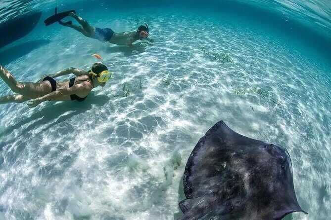 Cozumel Cielo Snorkel Adventure from Cancun and Rivera Maya - Who Is This Tour Best Suited For?