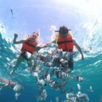 Cozumel: Clear Boat & Snorkel Tour - The Itinerary: What to Expect