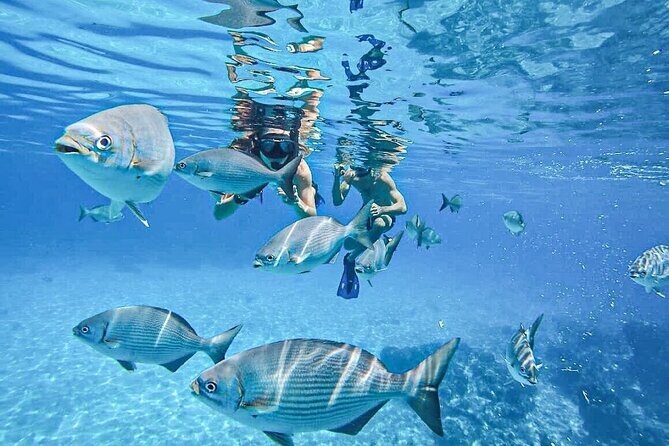 Cozumel Clear Boat Tour! Round Transportation From Cancun & Playa Del Carmen - Transportation, Timing, and Group Size