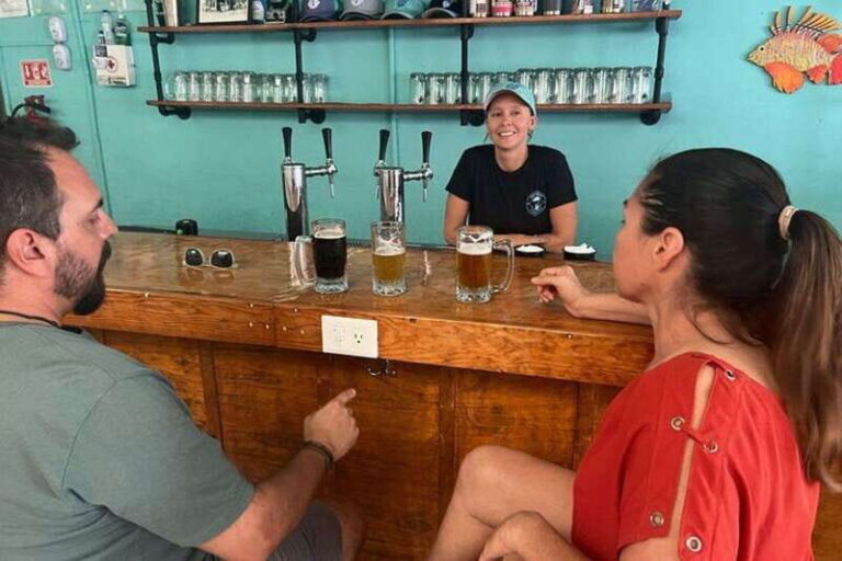Cozumel: Craft Beer Tasting Experience with Brewery Tour - What to Expect from the Cozumel Craft Beer Tour