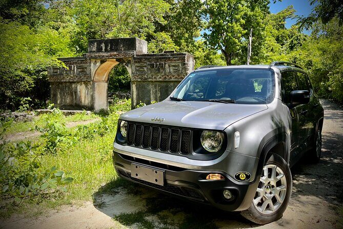 Cozumel: Discover Hidden Gems w/ Private guide - Why This Tour Offers Great Value