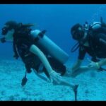 Cozumel: Discover Scuba Diving - The Marine Environment and Its Significance