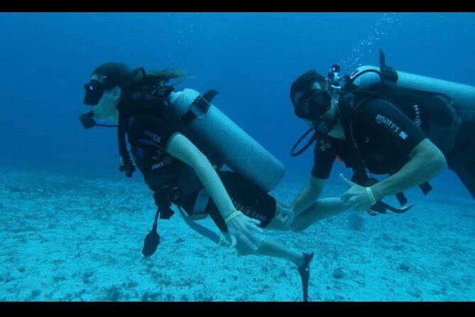 Cozumel: Discover Scuba Diving - The Marine Environment and Its Significance