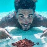 Cozumel El Cielo All Inclusive Tour from Cancun - The Itinerary in Detail