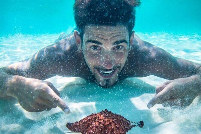 Cozumel El Cielo All Inclusive Tour from Cancun - The Itinerary in Detail