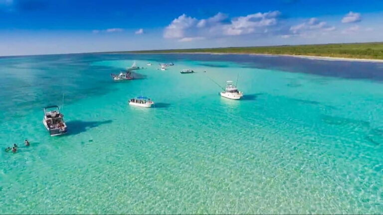 Cozumel: El Cielo & Palancar Snorkel with Open Bar & Ceviche - Whats Included and Whats Not