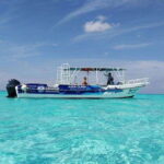 Cozumel El Cielo Sandbar and Reef Snorkeling Tour - Why This Tour Stands Out