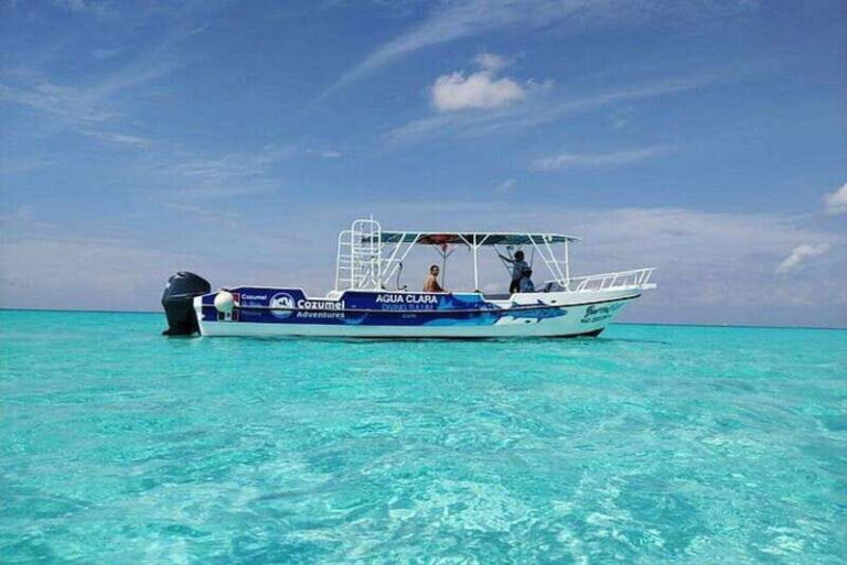 Cozumel El Cielo Sandbar and Reef Snorkeling Tour - Why This Tour Stands Out