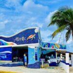 Cozumel EN Submarine Tour from Cancun or Playa del Carmen - The Underwater Marvel: Atlantis Submarine Experience