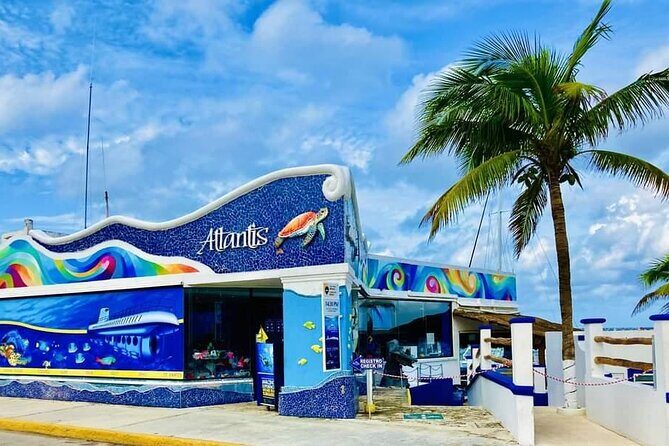 Cozumel EN Submarine Tour from Cancun or Playa del Carmen - The Underwater Marvel: Atlantis Submarine Experience