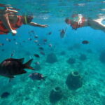Cozumel: Excursion Crystal Boat Tour with Snorkel & Drinks - The Experience in Detail