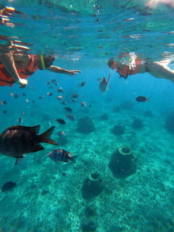 Cozumel: Excursion Crystal Boat Tour with Snorkel & Drinks