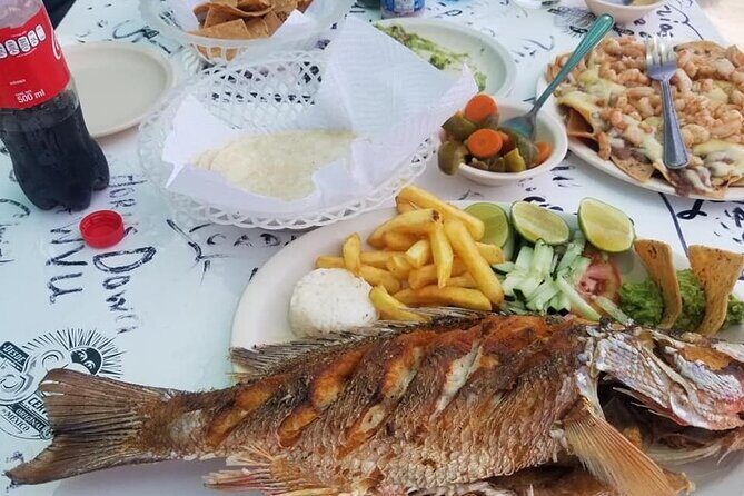 Cozumel Island Tours - The Itinerary: What to Expect