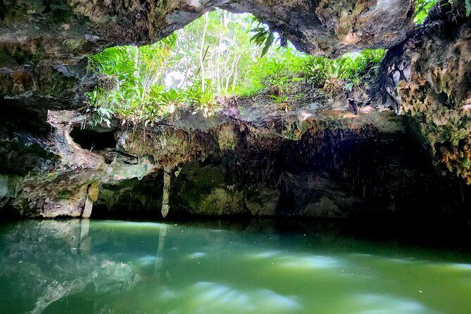 Cozumel Jungle ATV Tour Adventure and Caverns with transfer - Detailed Breakdown of the Itinerary